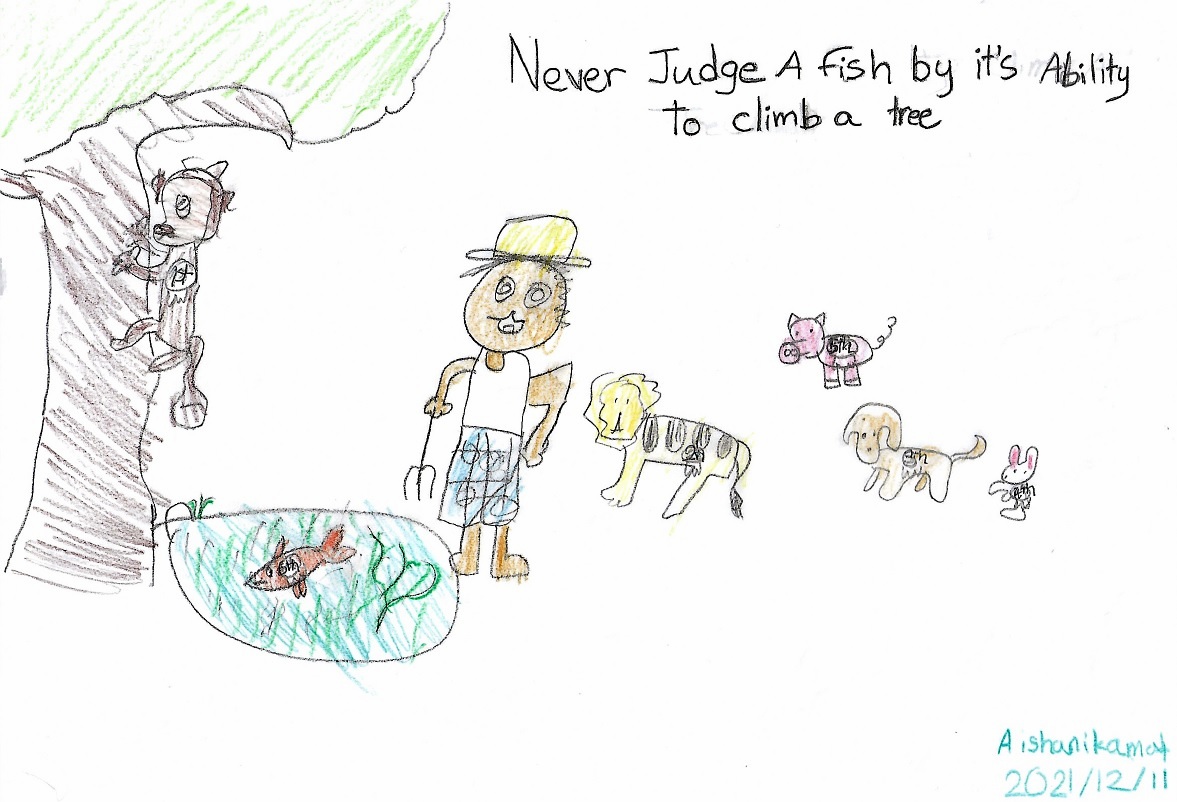 Don’t Judge a Fish by its ability to climb a Tree – Keep it simple, stupid.